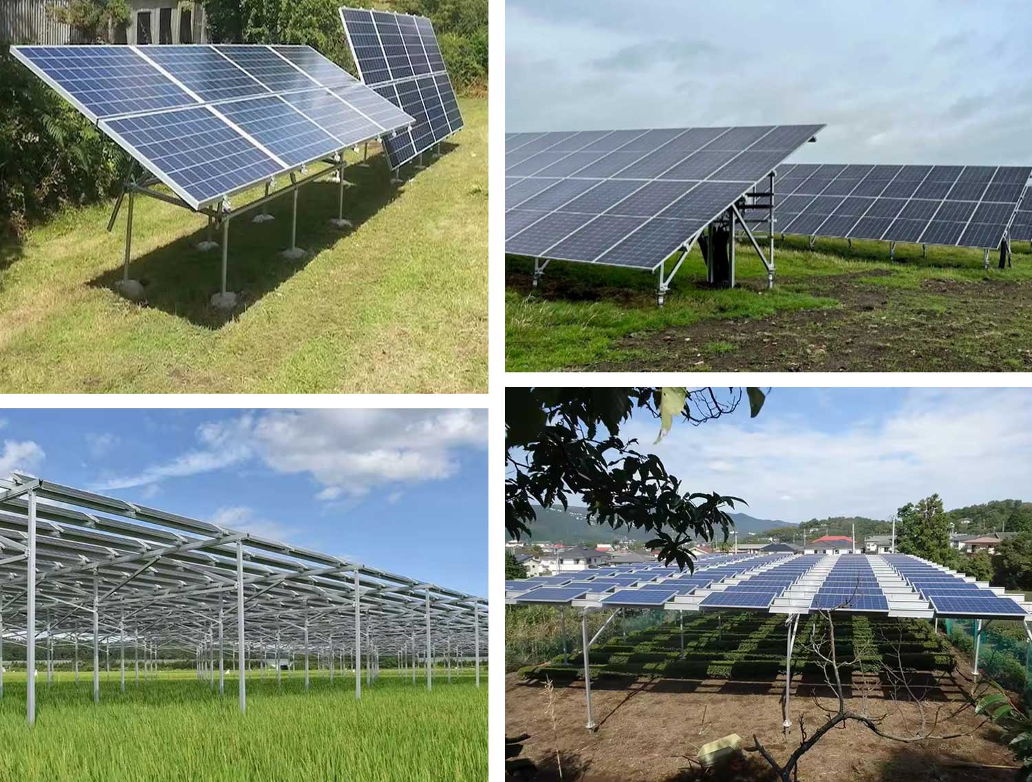 Are Solar Farms Really Profitable? The Truth About Making Money with ...